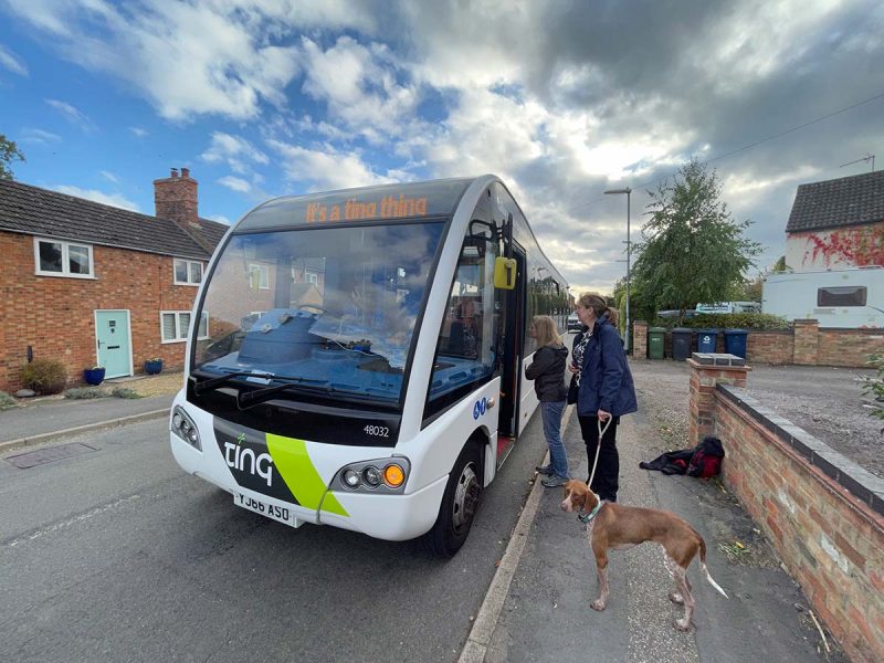 Ting ‘on demand’ bus service - The Giddings